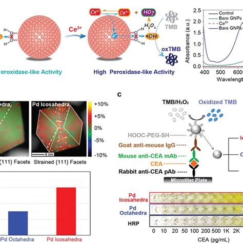 Application Of Metal‐oxide‐based Nanozymes In Biosystems A