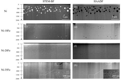 Figure 1 From Interstitial Migration Behavior And Defect Evolution In Ion Irradiated Pure Nickel