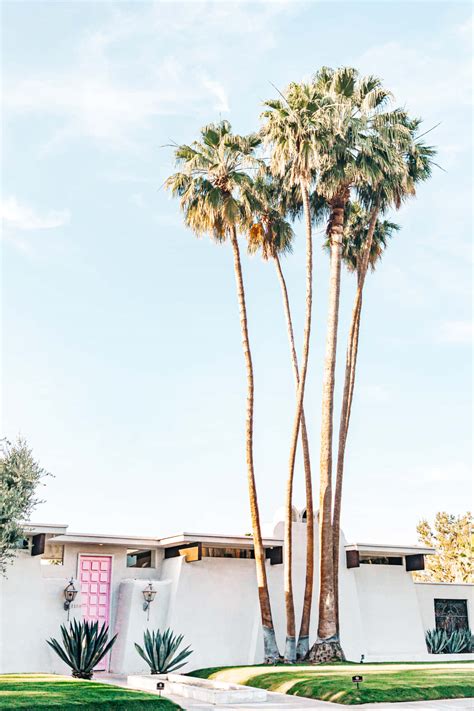 Baixe Papéis De Parede De Palm Springs Grátis 100 Papéis De Parede