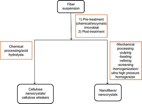 4 The Production Of Cellulose Nanofibers Cnf Download Scientific