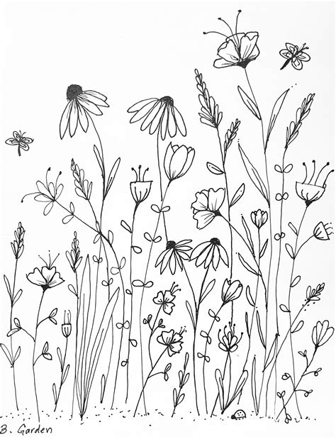 Easy To Draw Wildflowers