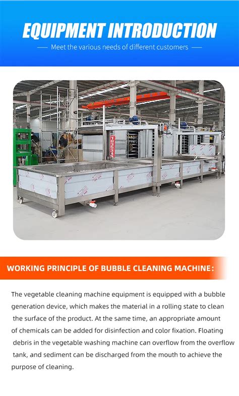 Automatic Vegetable Fruit Processing Line High Efficiency