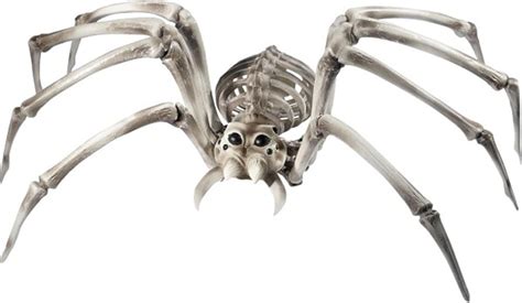 Buy Smiffys Mens Spider Skeleton Prop At Ubuy India