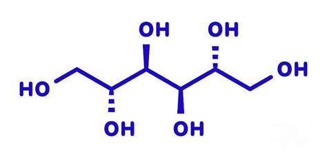 Mannitol Art Fine Art America