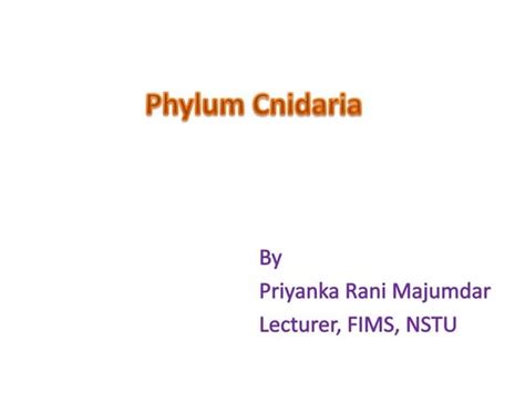 Polymorphism In Coelenterata Pptx