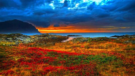 Natural Beauty Of Nature Wallpapers Hd Wallpaper Cave