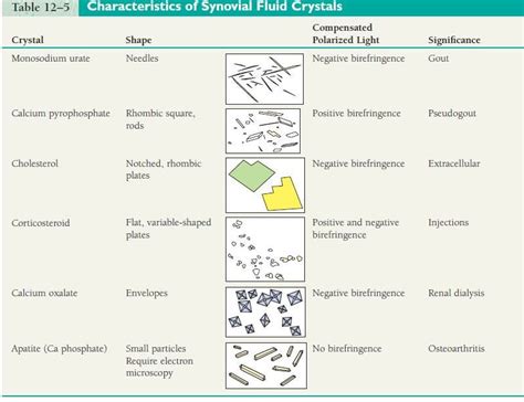 Urine Crystals Forms Medical Laboratories Medical Laboratory