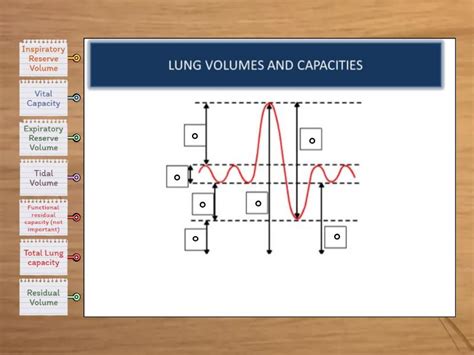 Spirometer Trace Labelled Diagram