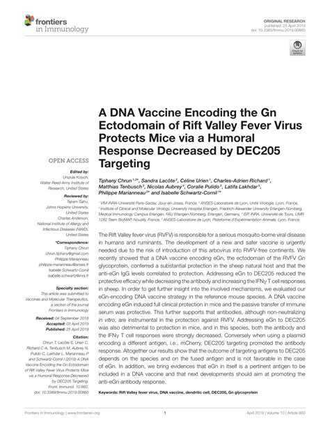 Pdf A Dna Vaccine Encoding The Gn Ectodomain Of Rift Valley Fever