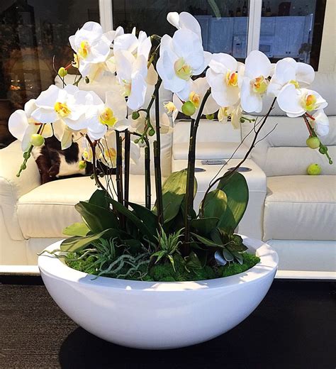 Large Real Orchid Arrangements In A White Bowl Orchid In Bowl Black