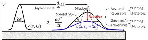 Reactive Transport Rt Describes The Transport Of Solutes Download Scientific Diagram
