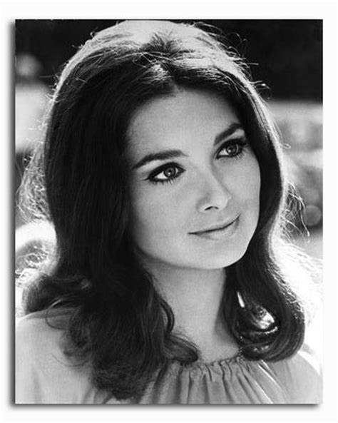 Ss2264639 Movie Picture Of Suzanne Pleshette Buy Celebrity Photos And Posters At
