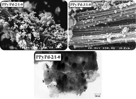 Sem Two Top Images And Tem Bottom Image Micrographs Of The