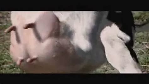 Free Sex Porn Videos 4815 Xhamster