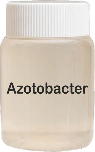 Bio Fertilizer Azotobacter Liquid For Agriculture Packaging Type Drum At ₹ 100 Litre In