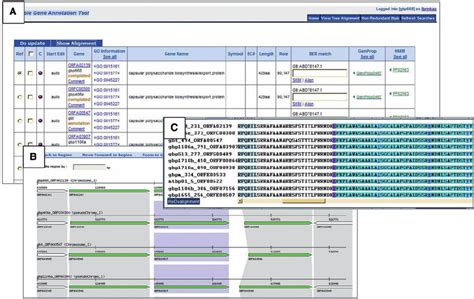 Mgat Multi Genome Annotation Tool A Display Of Annotation