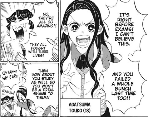 Demon Slayer Mangas Rushed Ending Explained Ipygmc