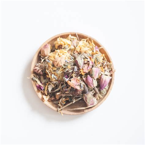 Freedom From The Control Cycle Brooklyn Herborium