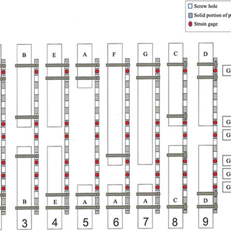 Configurations Of Drilled Bone Models In Configurations 1 And 2 The Download Scientific