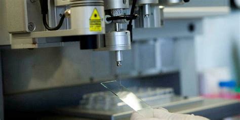 Cellular Reprogramming To Counter Aging Archyde