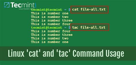 Cómo Usar Los Comandos Cat Y Tac Con Ejemplos En Linux