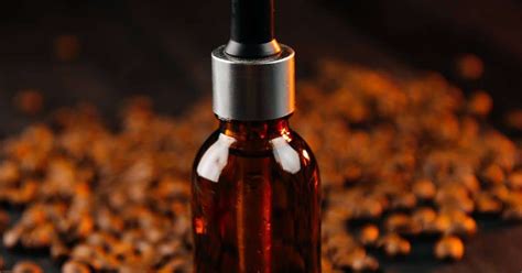 Camphene A Key Terpene In Aromatherapy