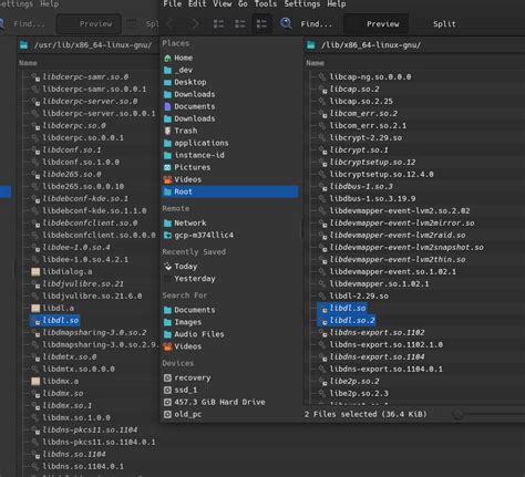 Dllnotfoundexception On Linux Dont See Libdlso Unity Engine Unity