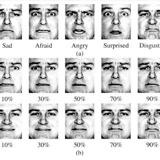 Facial Expressions Chart Psychology