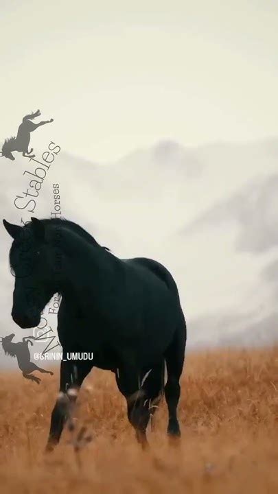 Ill Edit U Post Raws Choose A Song And Tag Melmk My Tags Dont Always Work Will Be After