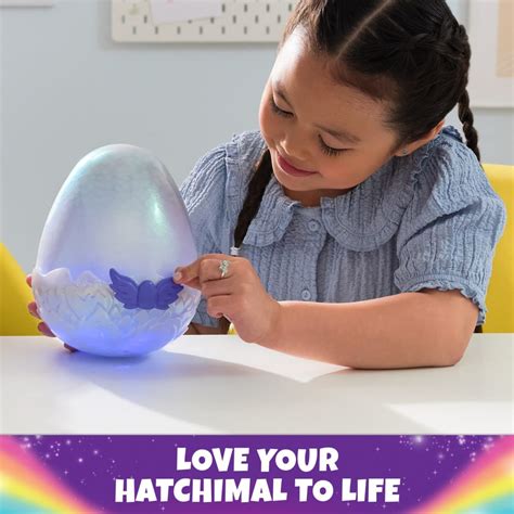 Hatchimal Egg Assorted Collectables Bandm