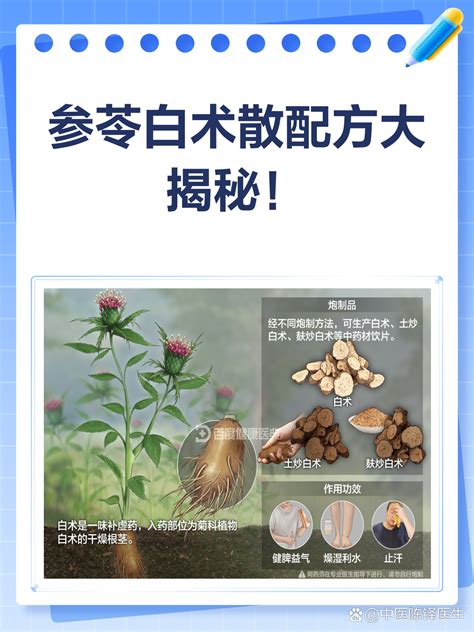 参苓白术散，配方揭秘！
