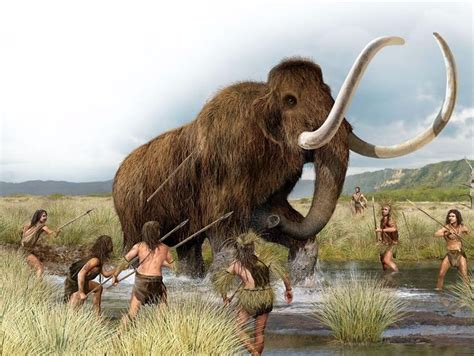 How Did Our Ancestors Survive Winter Bushcraft Buddy