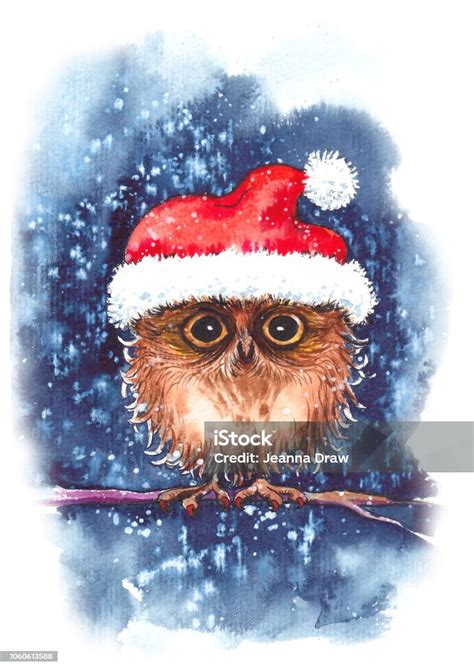 귀여운 올빼미 빨간 크리스마스 모자를 쓰고 눈 아래에 앉아 귀여운에 대한 스톡 벡터 아트 및 기타 이미지 귀여운 그림