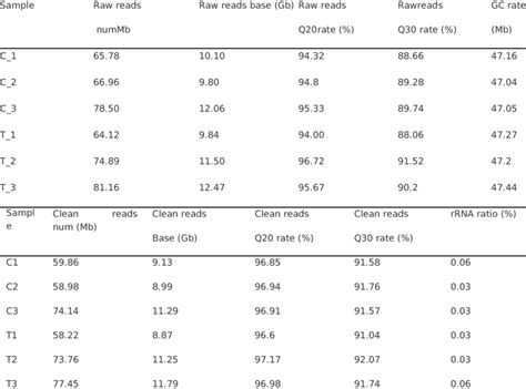 Raw Data And Clean Data Output Statistics Download Scientific Diagram