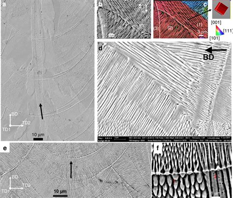 The Microstructure Developments Due To Continuous Growth And