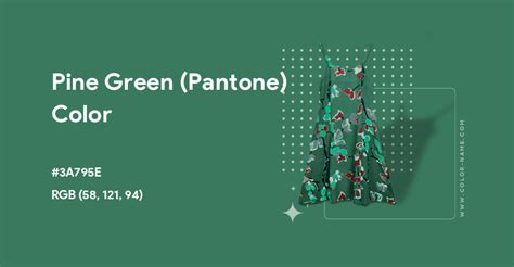 Pine Green Pantone Color Hex Code Is 3a795e
