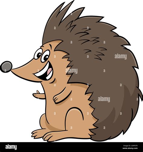 Hedgehog Cartoon Illustration