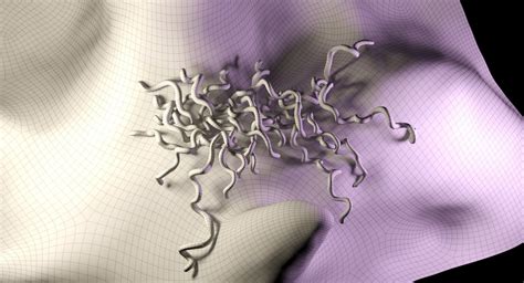 Spirillum Bacteria 3d Model Turbosquid 1323383