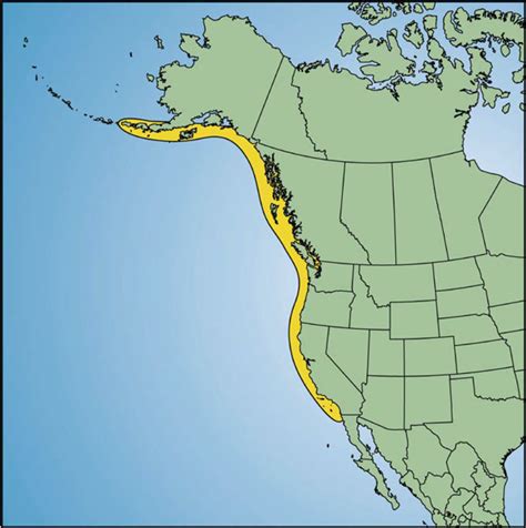 Yelloweye Rockfish Habitat At Crystal Molden Blog