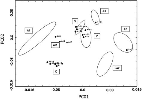 Principal Component Diagram Calculated With 11 Elemental Download Scientific Diagram