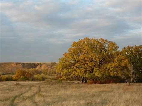 Pontic Steppe One Earth