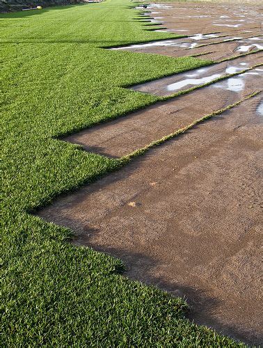 Grass Mining Grass Landscape Contractor Landscape Architecture