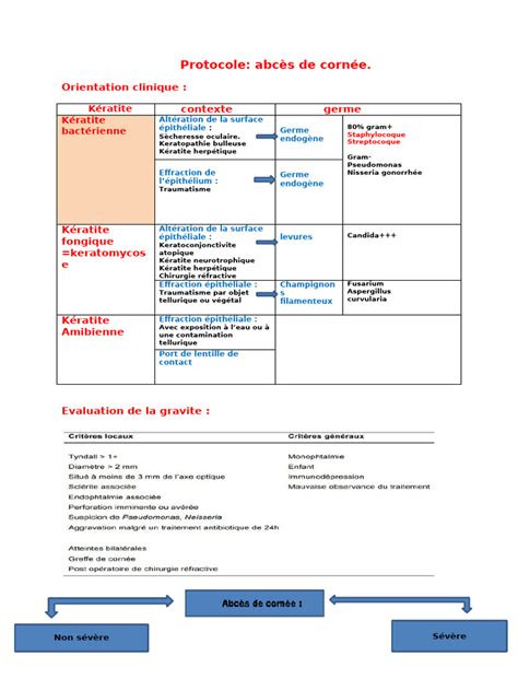 Prise En Charge De Labcès Cornéen Pdf Immunologie Microbiologie