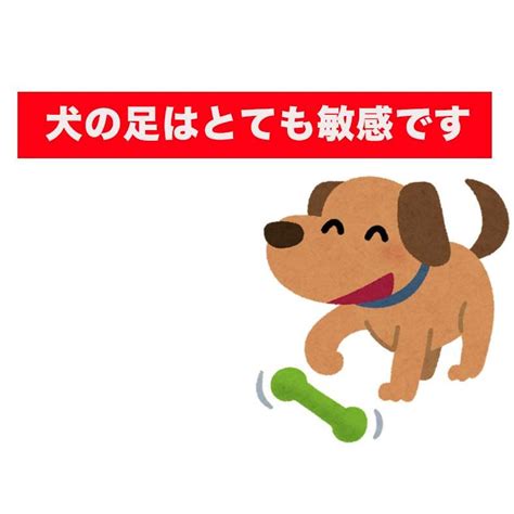 犬靴 ドッグシューズ 送料無料 犬 靴 犬の靴 犬用靴 夏 肉 肉球保護 暑さ対策 ファスナー 履かせやすい 脱げない くつ 介護 足 怪我