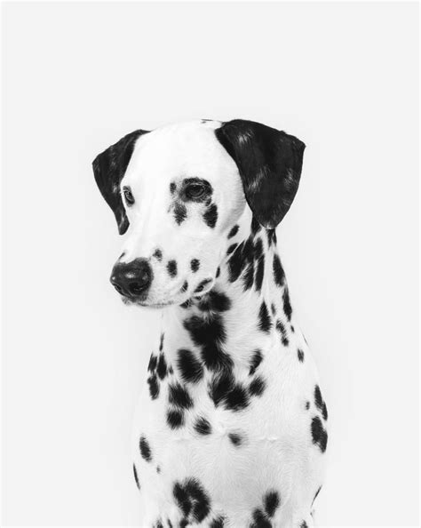 Pin De Natalia Hoyos Mendiola En Lockscreens Carteles En Blanco Y