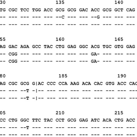 The Nucleotide Sequence A And The Amino Acid Sequence B Of Exon 3 Download Scientific