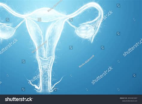 2 577 Ilustraciones De Fondo Obstetricia Ilustraciones Imágenes Y