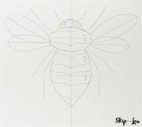 How To Draw Realistic Bee