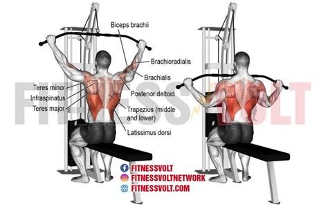 Wide Grip Lat Pull Down Lats Exercise Guides And Videos Fitness Volt