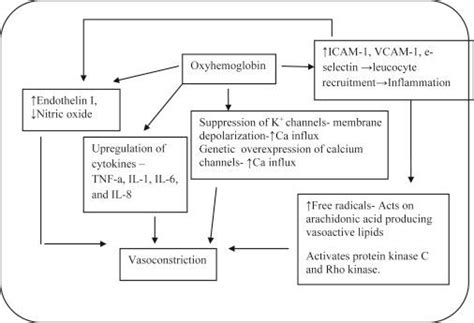 Vasospasm Clinical Tree